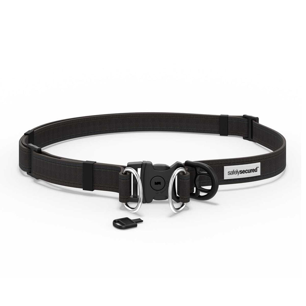 Safely Secured Anti-Theft Dog Snatching Belt